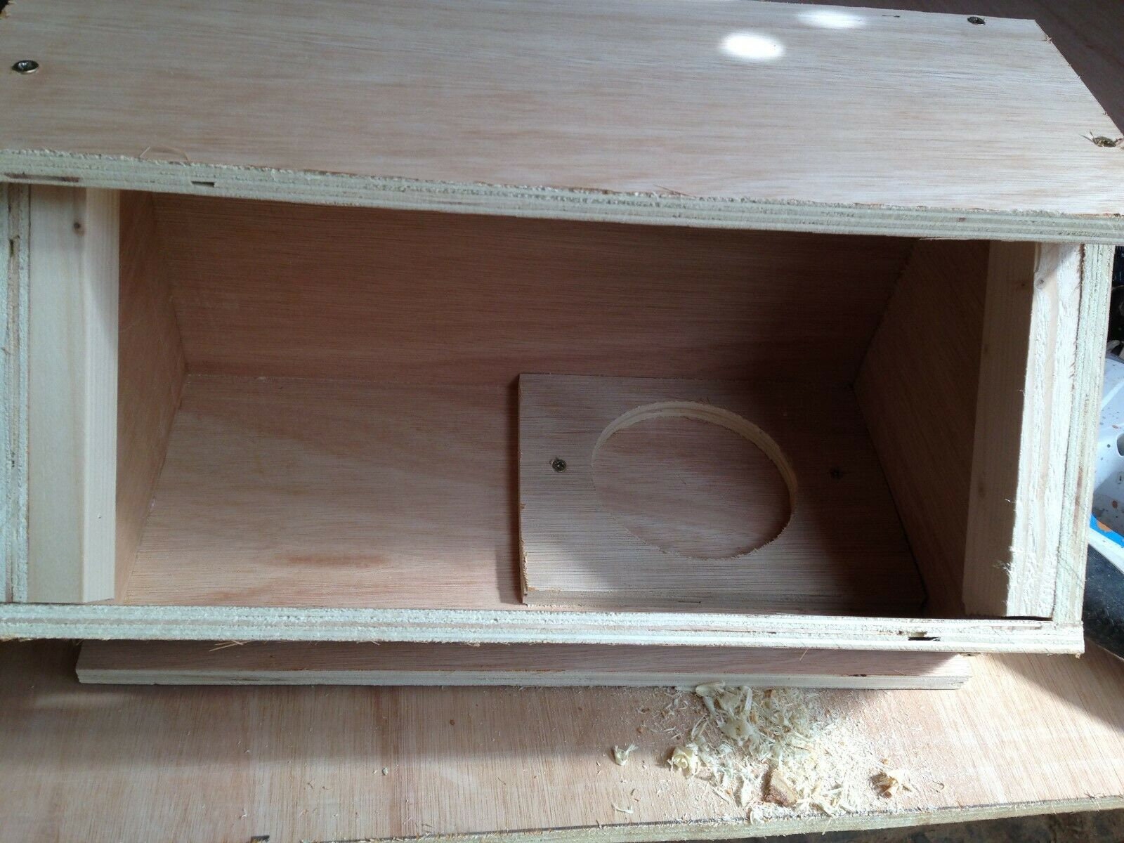 Common Swift Bird Nest Box Zeist Design - Etsy UK