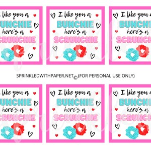 INSTANT Download-printable -I Like You a Munchie Here's a Scrunchie ...