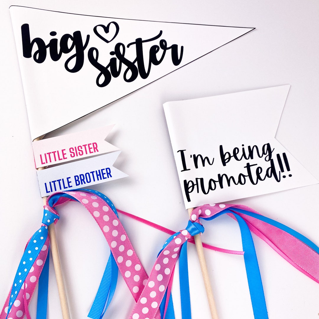 Big Sister Printable Pennant Flag, Pennant Flag Template, Birth ...