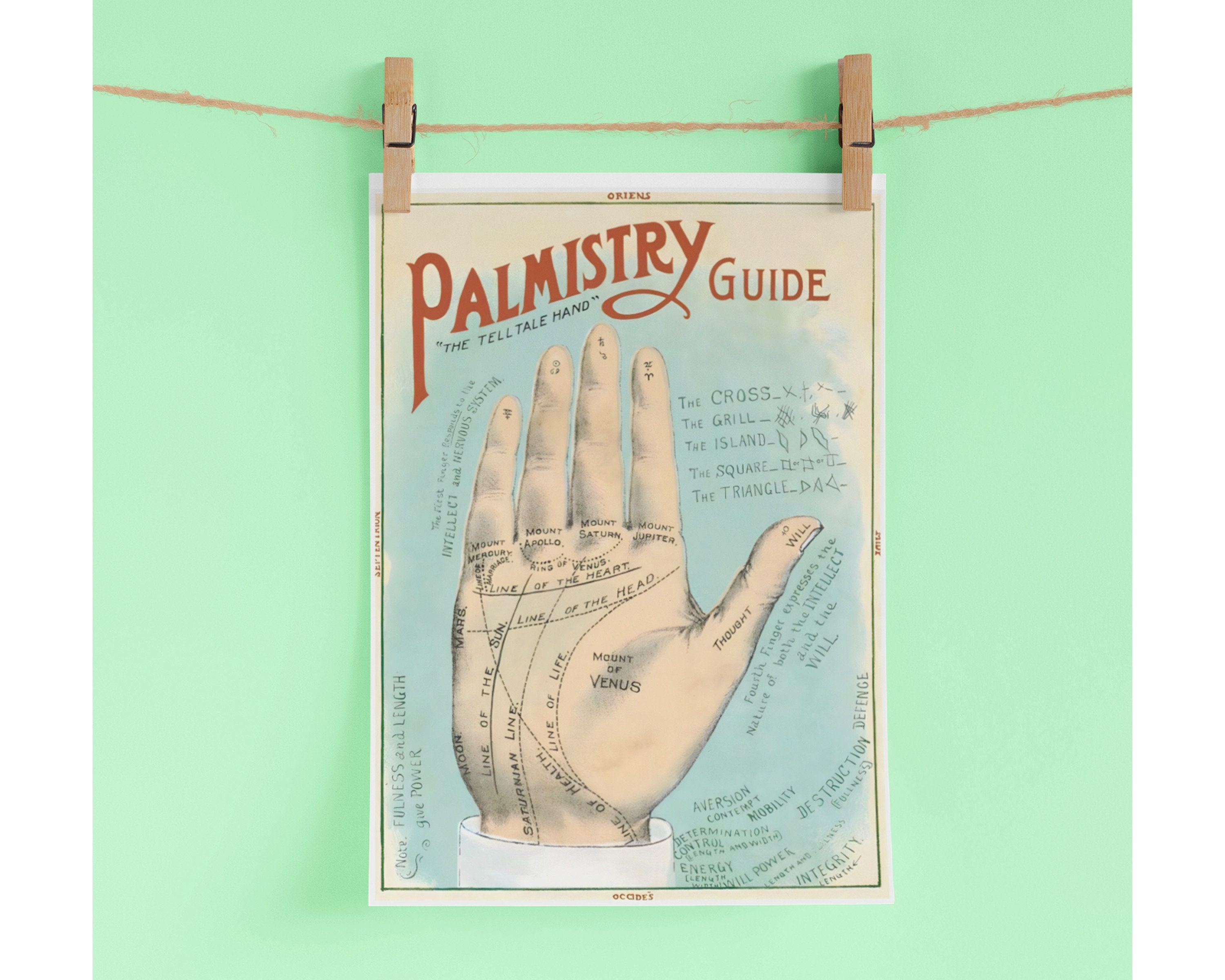 Vintage Palmistry Poster