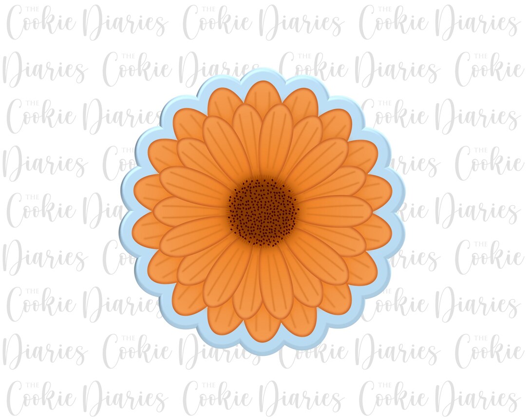 Gerbera Daisy Cookie Cutter - Etsy