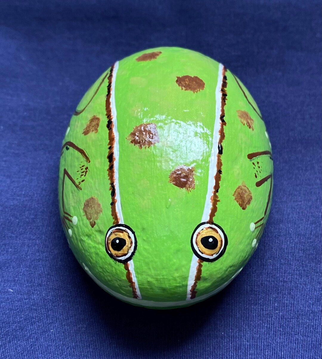 Frog Painted Rock, Animal Painted Stone, Frogs Home Decor and Gifts - Etsy