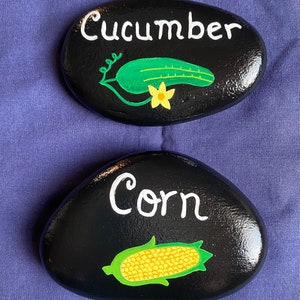 Vegetable Garden Painted Rocks Fruit Painted Stones - Etsy