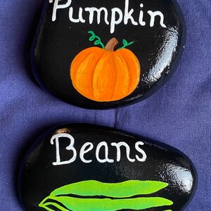 Vegetable Garden Painted Rocks Fruit Painted Stones - Etsy