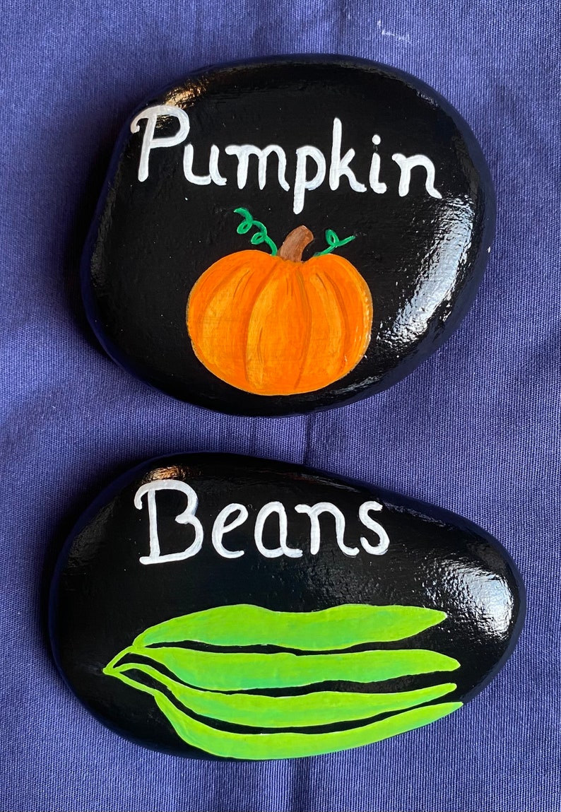 Vegetable Garden Painted Rocks Fruit Painted Stones - Etsy