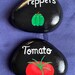 Vegetable Garden Painted Rocks Fruit Painted Stones - Etsy