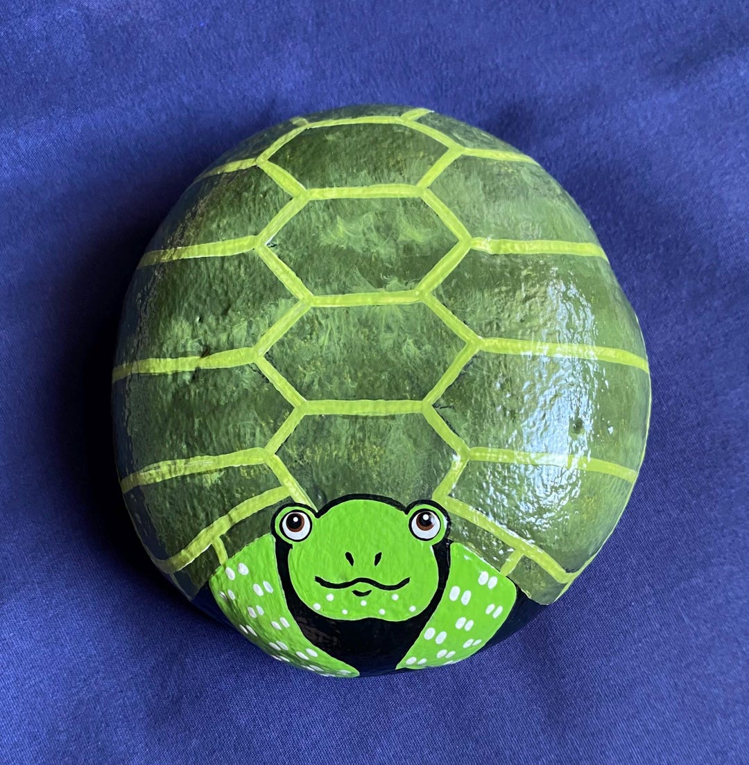 Turtle Painted Rock, Tortoise Painted Stone, Turtles Home Decor and ...