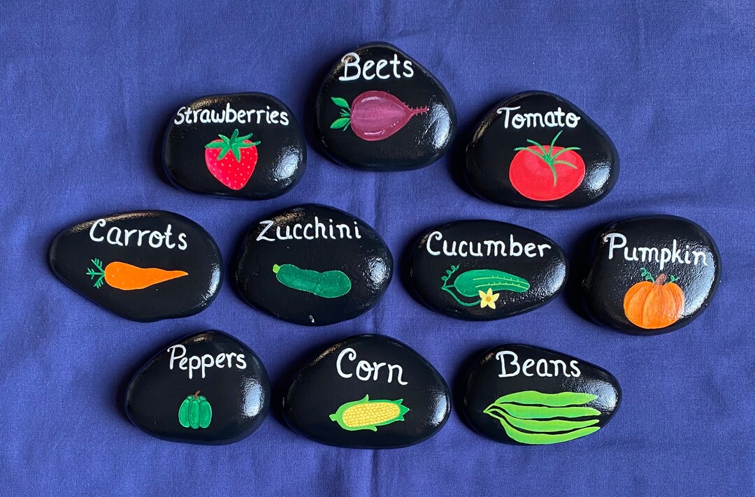 Vegetable Garden Painted Rocks Fruit Painted Stones - Etsy