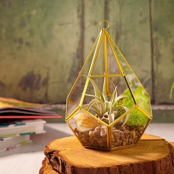 Geometric Terrarium - Etsy