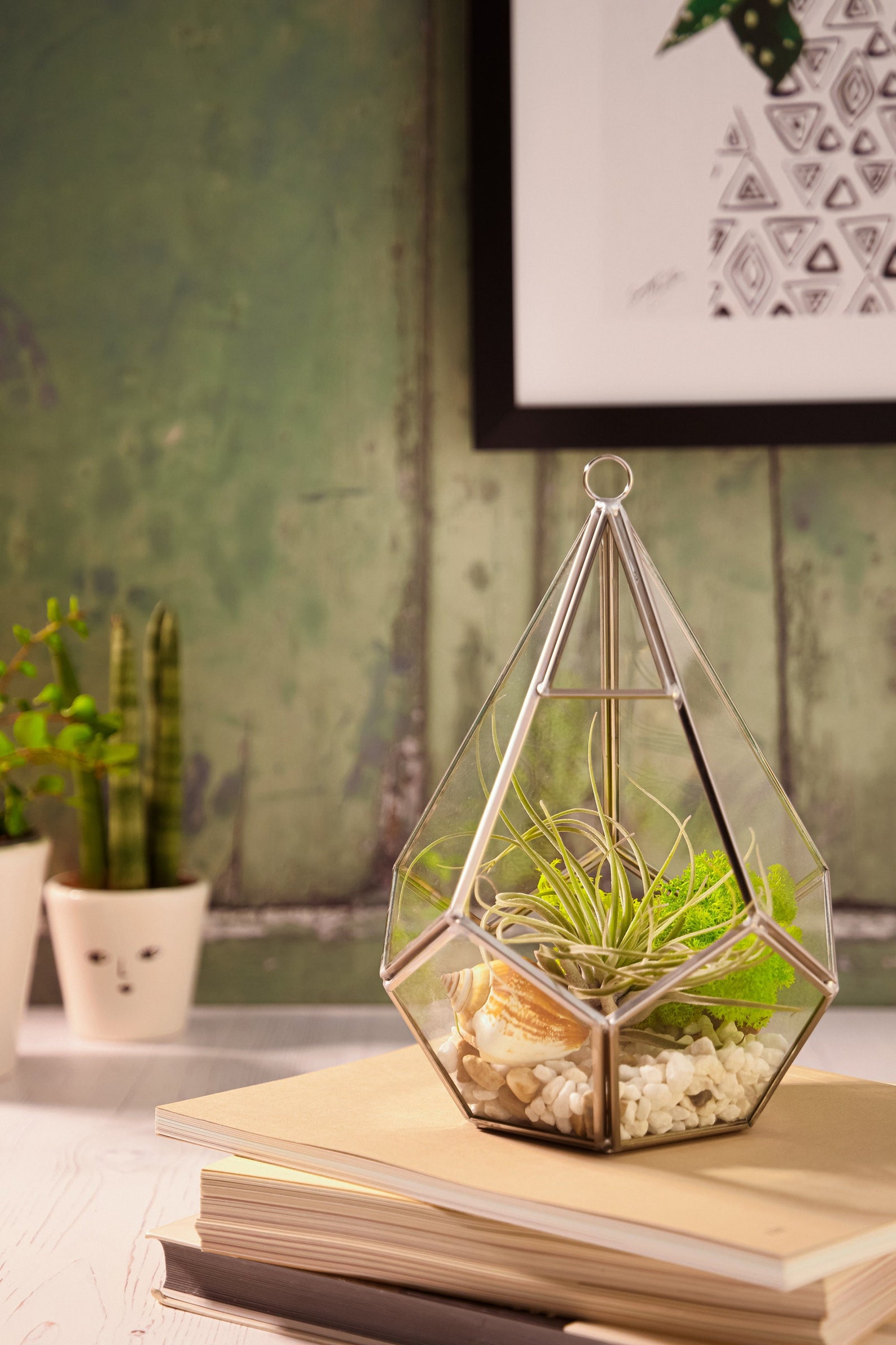 Silver Diamond Terrarium Cube. Geometric Terrarium, Open Terrarium ...