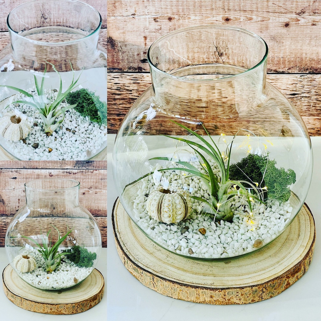 Large Round Glass Terrariums . Light up Terrarium Kit. Open Terrarium ...