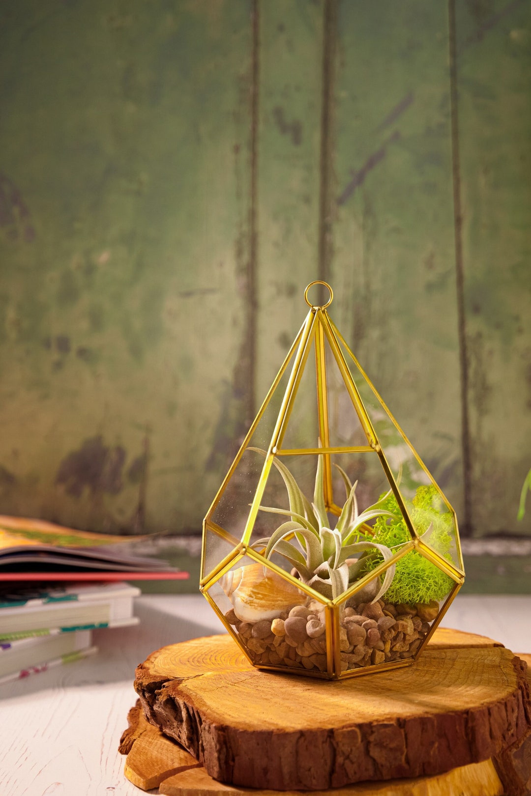 Gold Diamond Terrarium Cube. Geometric Terrarium, Open Terrarium. Home ...