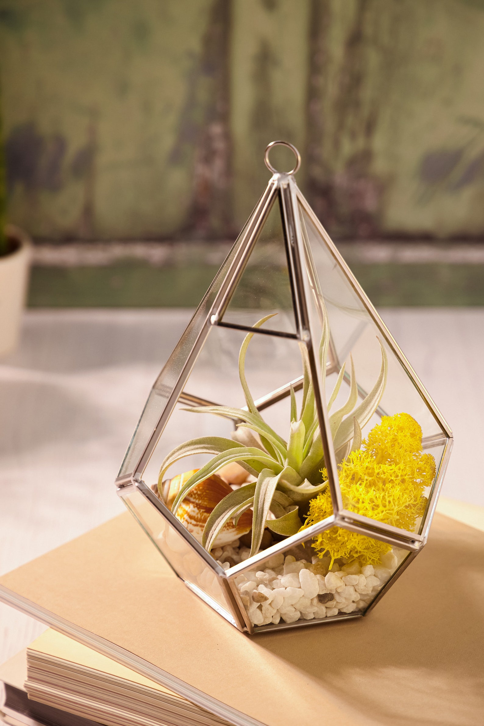 Silver Diamond Terrarium Cube. Geometric Terrarium, Open Terrarium ...