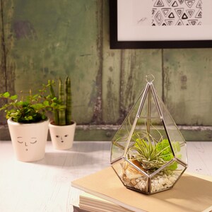Silver Diamond Terrarium Cube. Geometric Terrarium, Open Terrarium ...