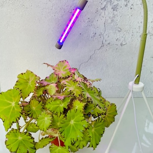 LED Plant Grow Light, UV LED Growing Lamp for House Plants. Enhance ...