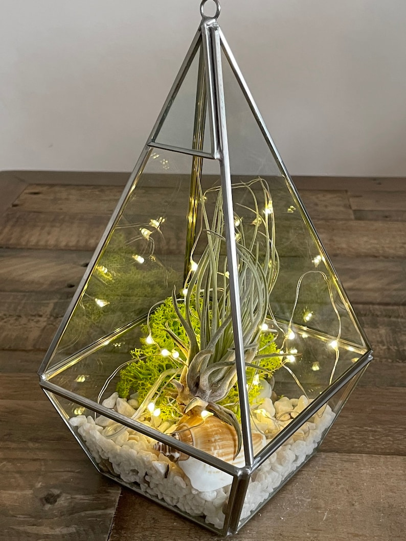 Geometric Air Plant Terrarium. Silver Pyramid Glass Terrarium. Plant ...