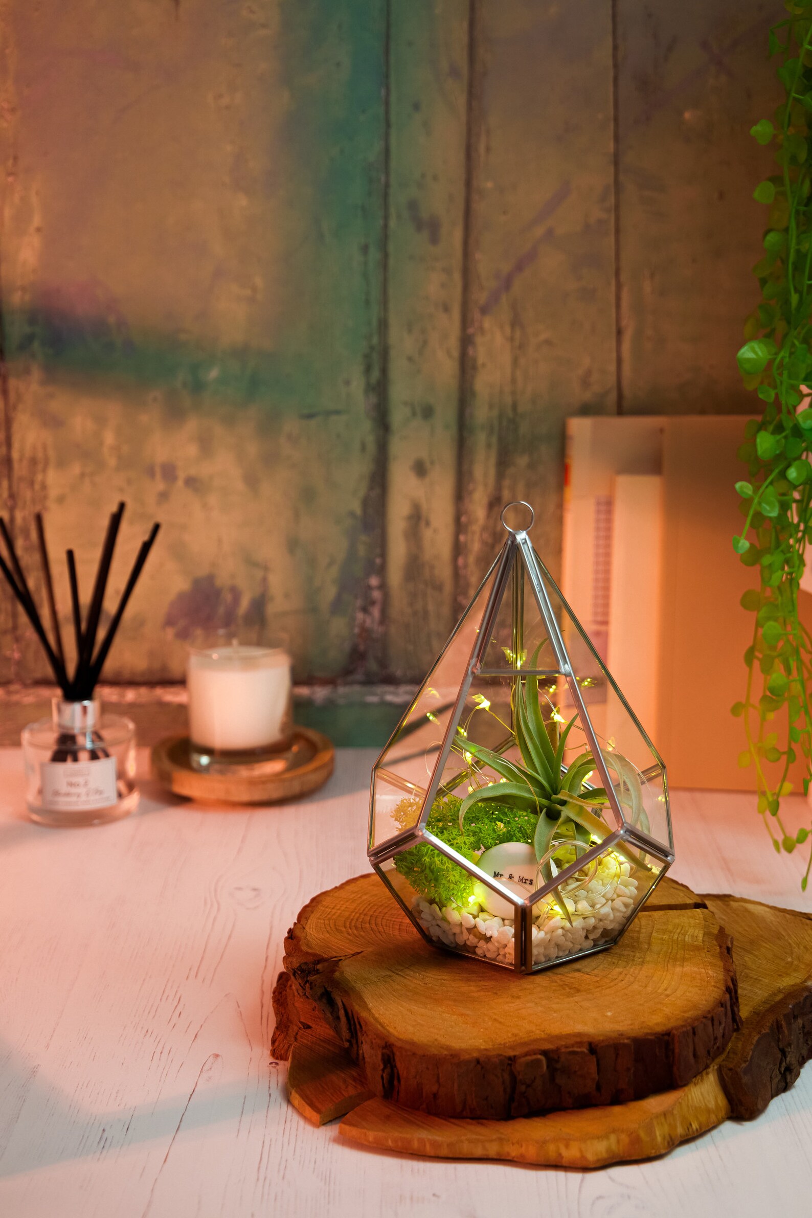 Silver Diamond Terrarium Cube. Geometric Terrarium, Open Terrarium ...