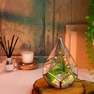 Silver Diamond Terrarium Cube. Geometric Terrarium, Open Terrarium ...