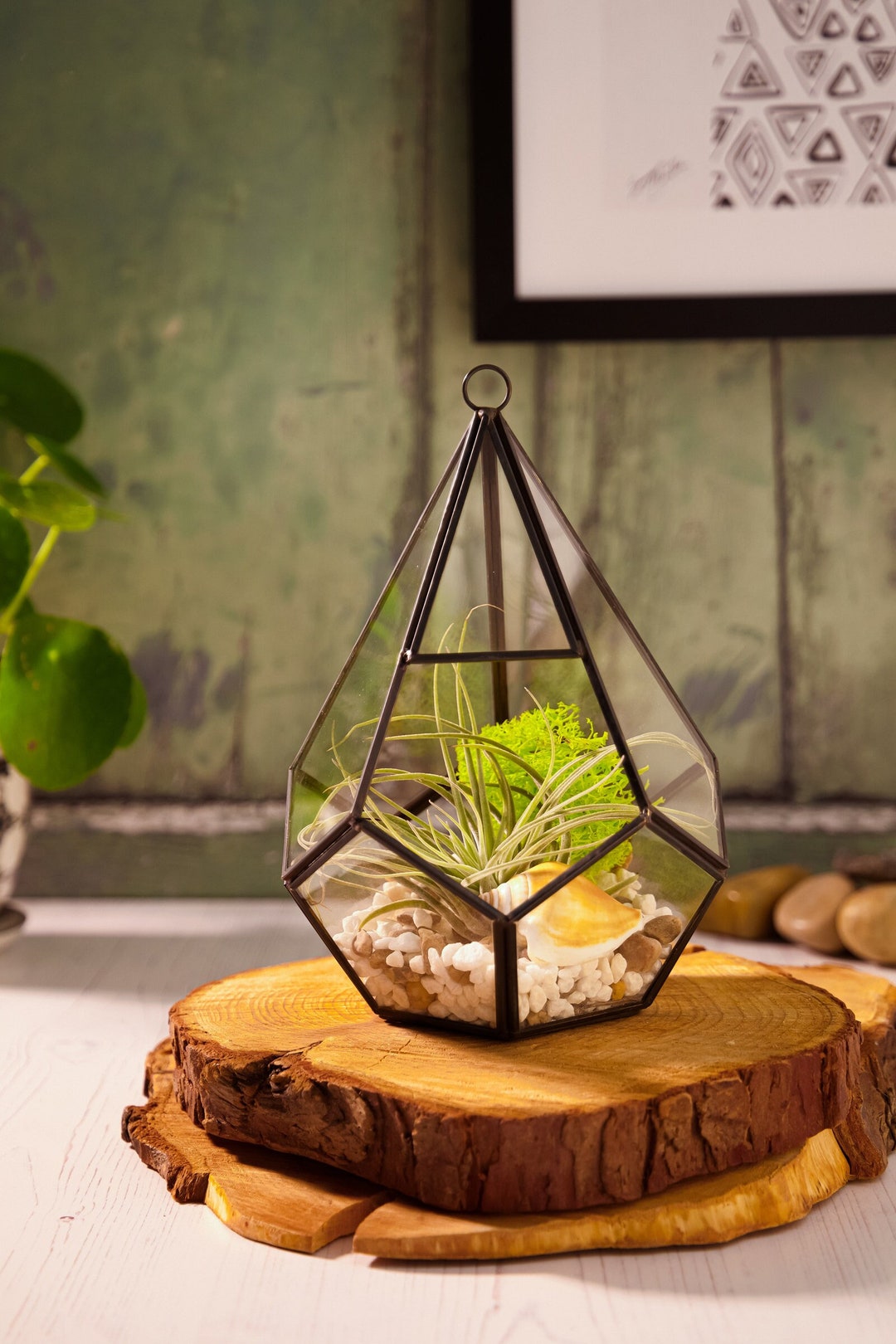 Black Diamond Terrarium Cube. Geometric Terrarium Suitable for Air ...