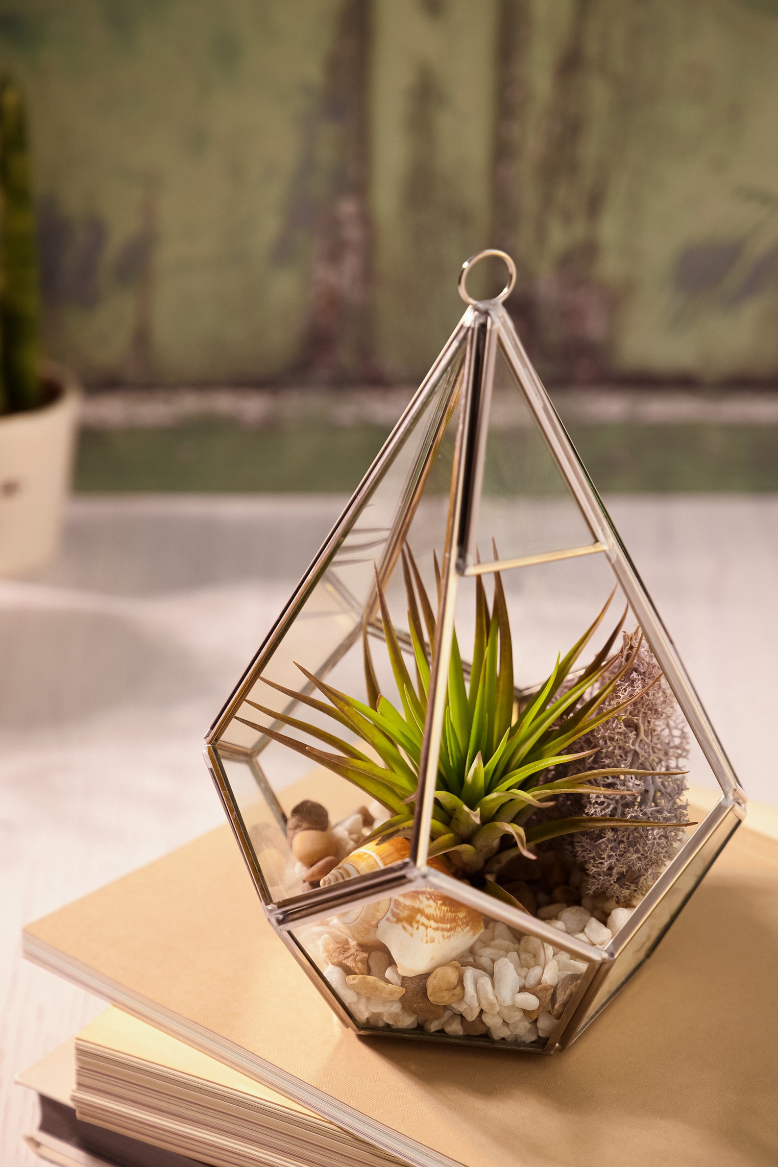 Silver Diamond Terrarium Cube. Geometric Terrarium, Open Terrarium ...