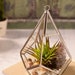 Silver Diamond Terrarium Cube. Geometric Terrarium, Open Terrarium ...