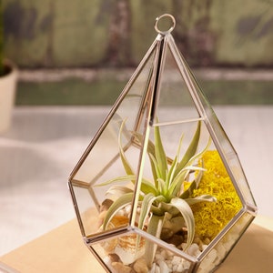 Silver Diamond Terrarium Cube. Geometric Terrarium, Open Terrarium ...