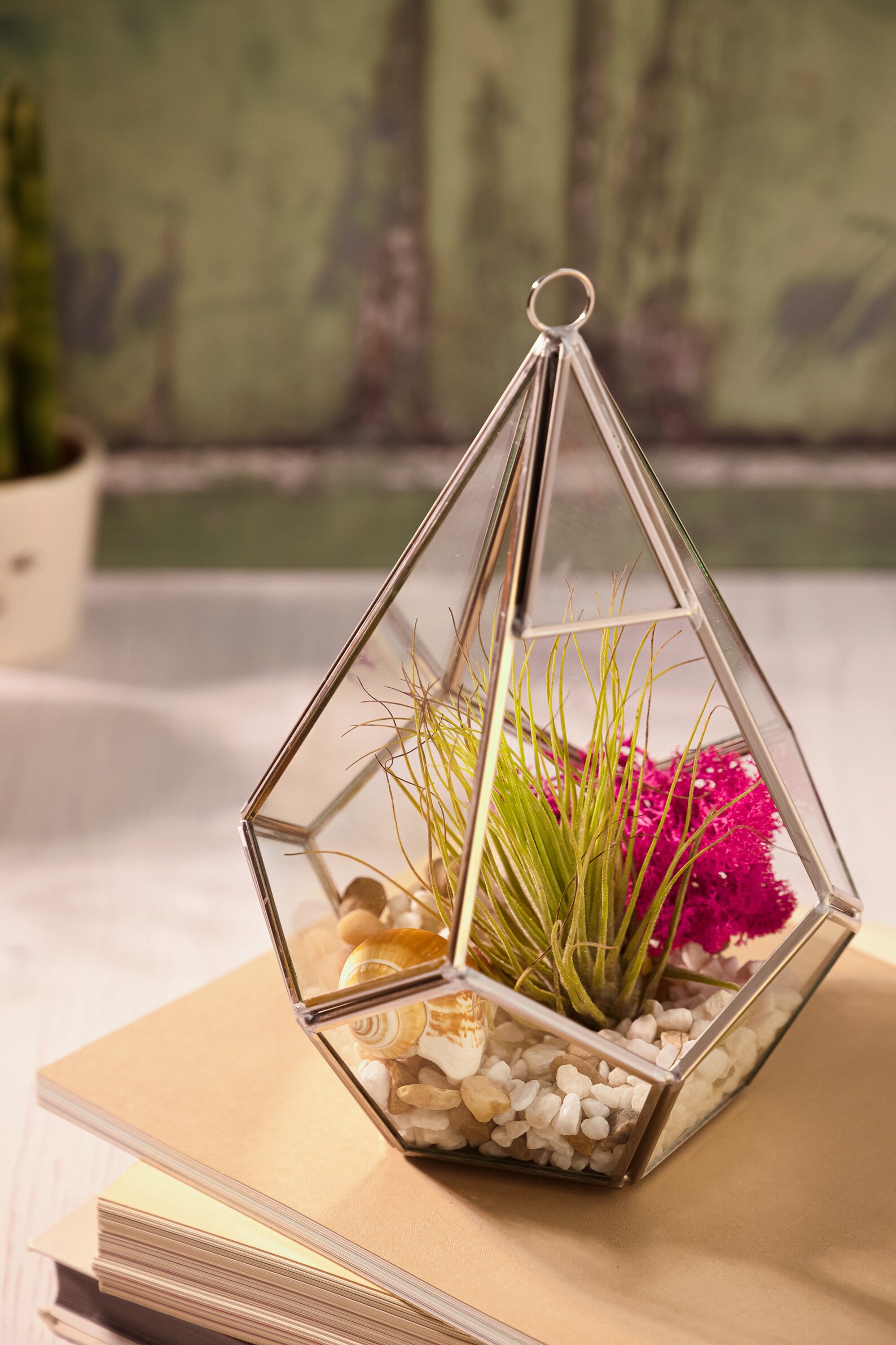Silver Diamond Terrarium Cube. Geometric Terrarium, Open Terrarium ...