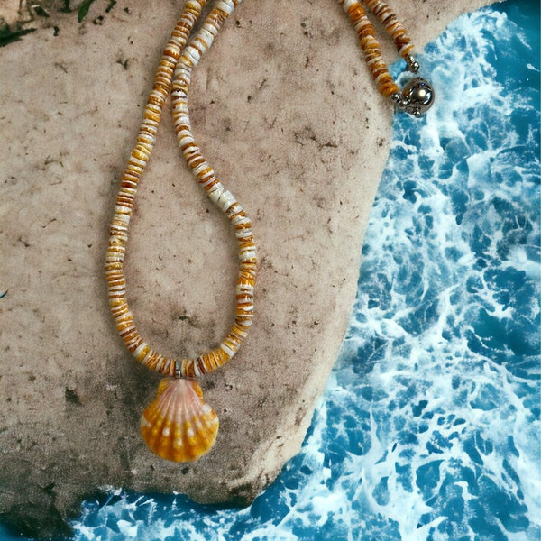 Sunrise Shell - Etsy