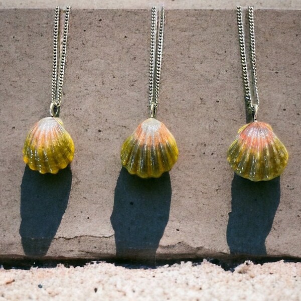 Sunrise Shell - Etsy