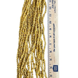 Yellow Mongo Shells Necklace - Etsy