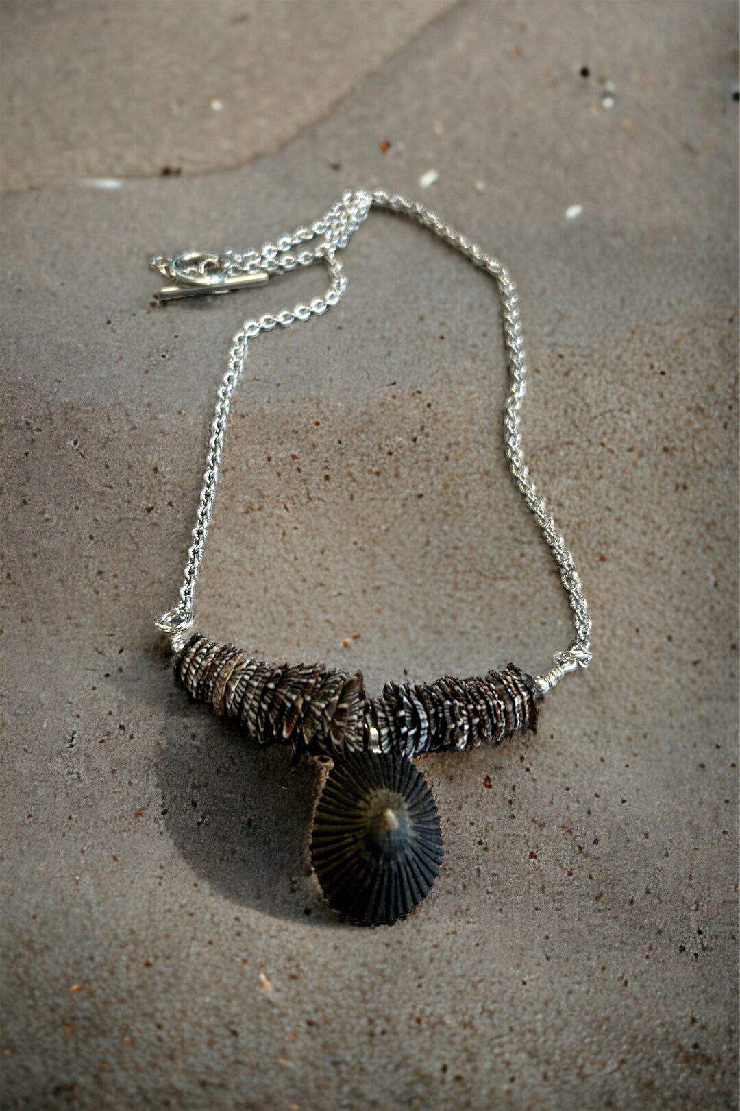 Hawaiian Opihi Shells Chain Necklace #4 - Etsy