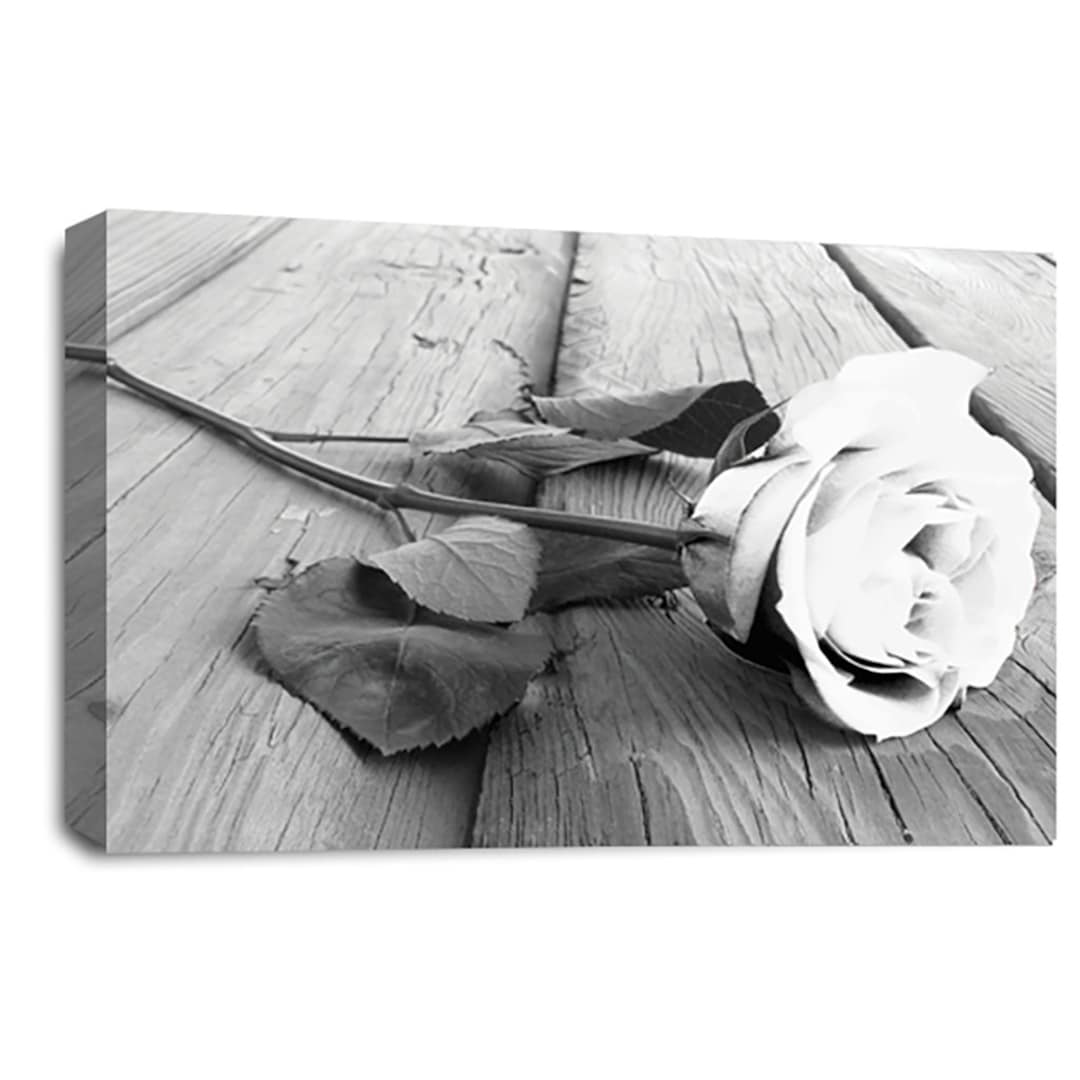 Floral White Rose Art Print Flower Framed Canvas Picture Ready to Hang ...