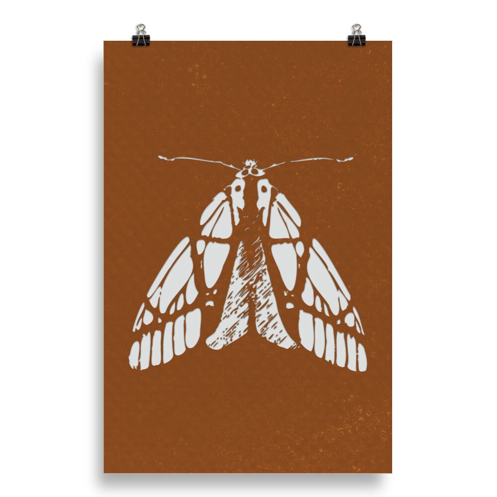 Modern Moth Cutout Print Wall Art - Etsy
