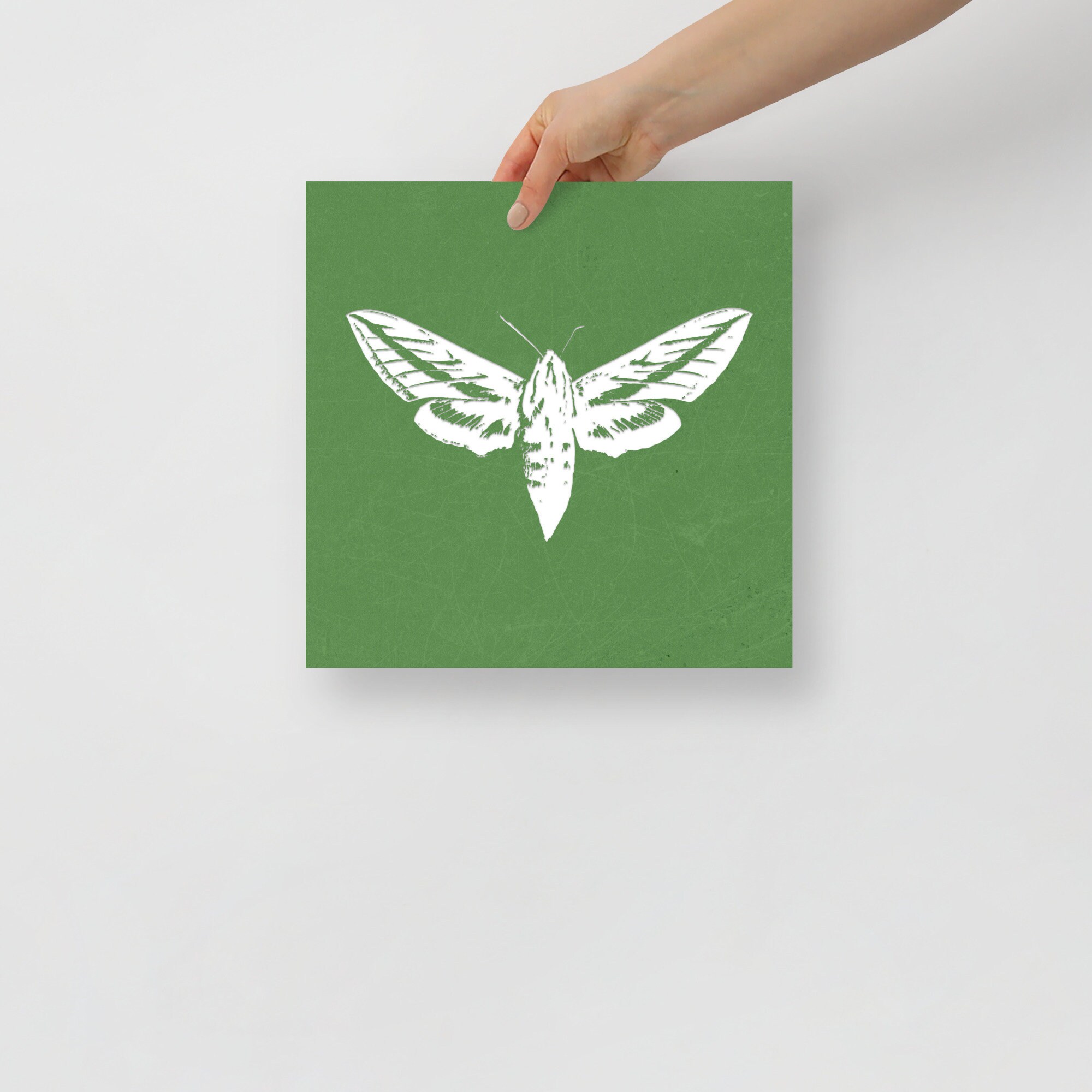 Sphinx Moth Cutout Green Design - Etsy