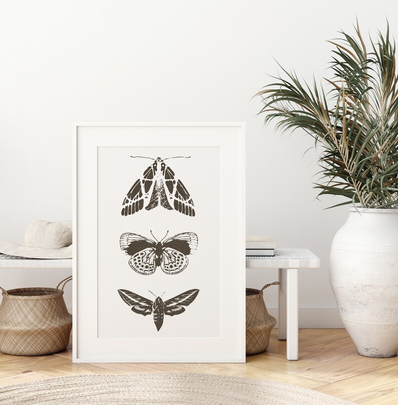 Butterfly Moth Nature Print - Etsy