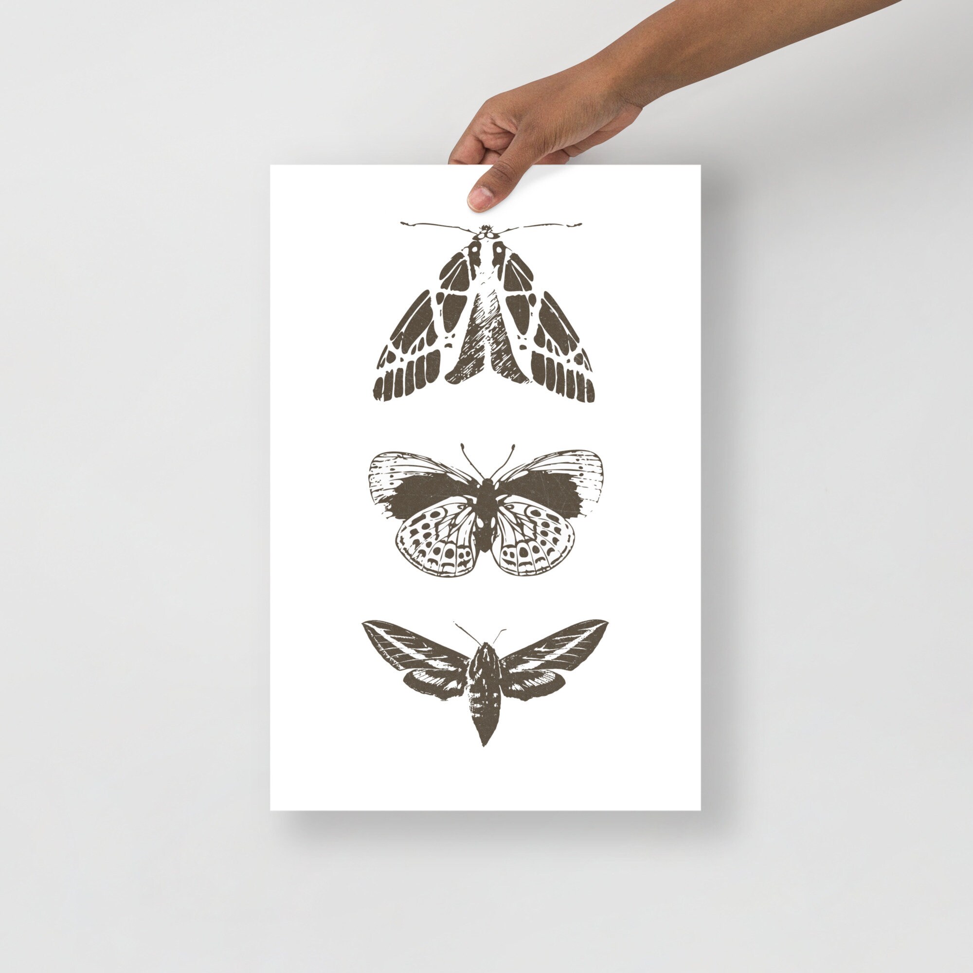 Butterfly Moth Nature Print - Etsy