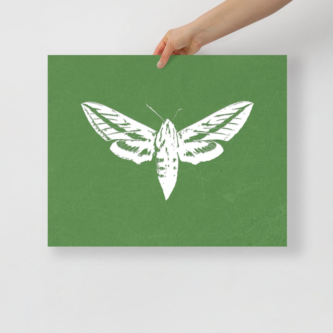 Sphinx Moth Cutout Green Design - Etsy