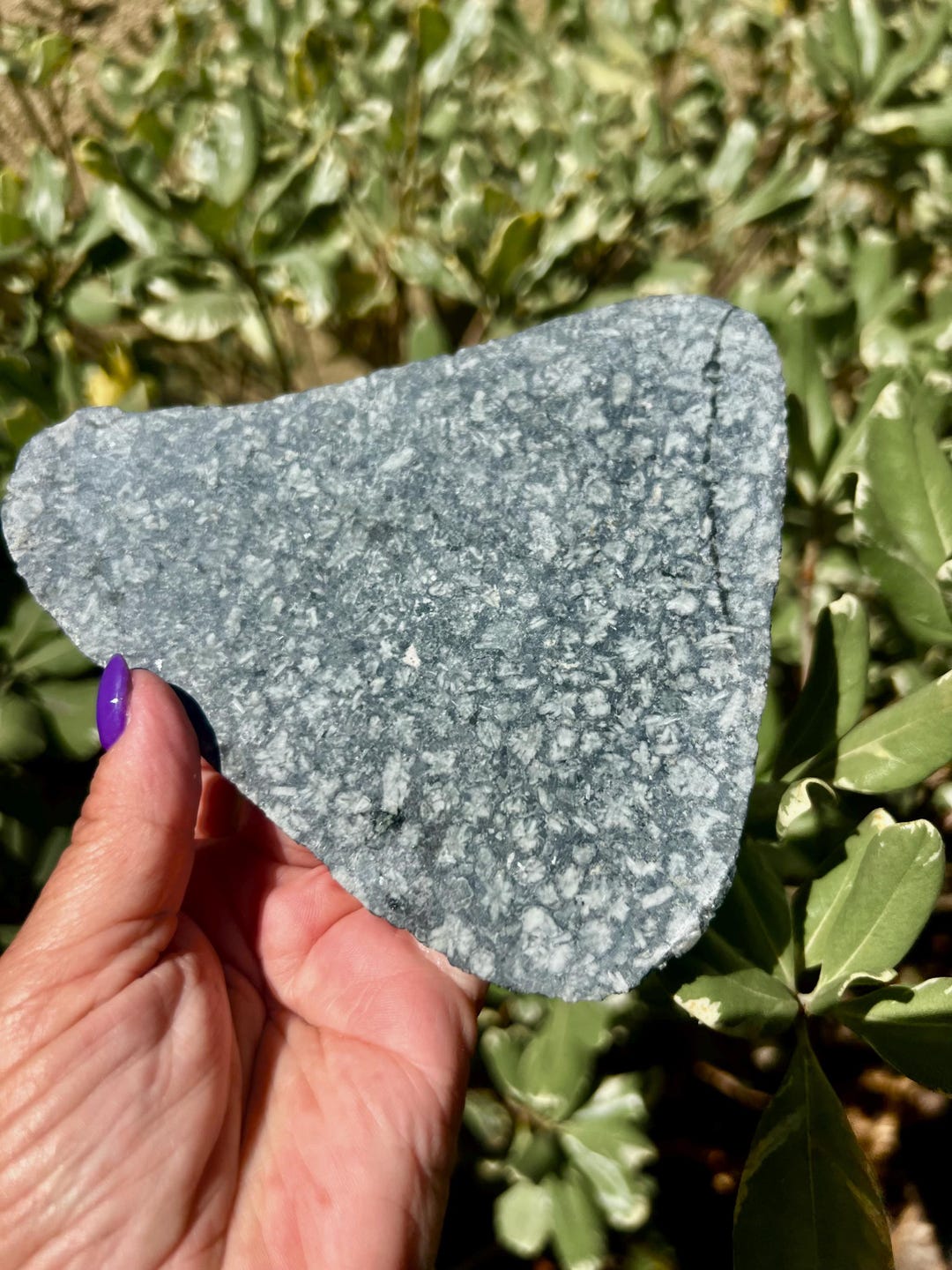 Rare XL Silver Flower Obsidian Slab, Silver, 5.5", Reiki, Metaphysical ...