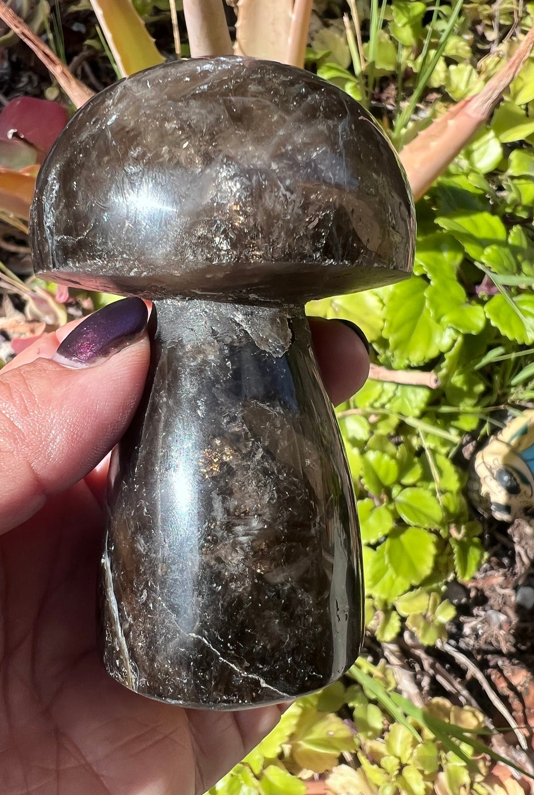 XL Smoky Quartz Mushroom Base Solar Plexus Chakras - Etsy
