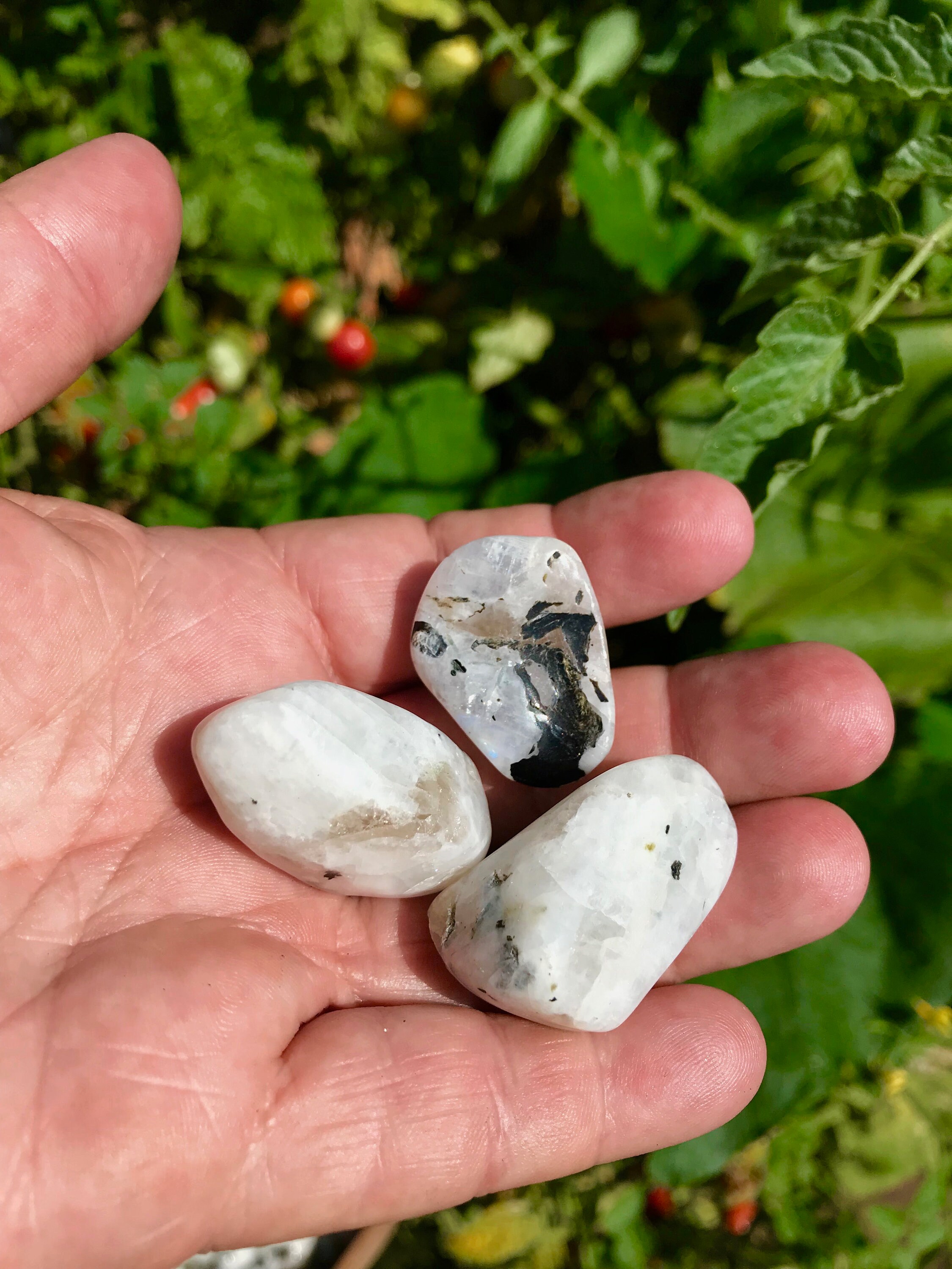 Rainbow Moonstone Tumble Stones The intentions stone Healing | Etsy