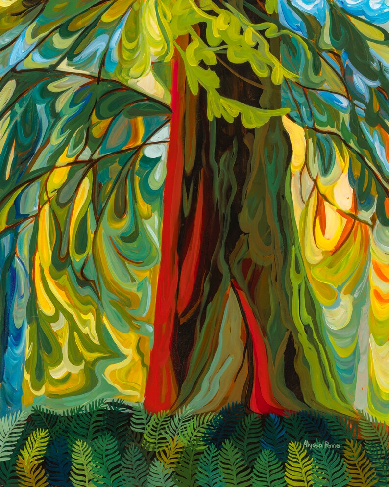 Red Cedar Paper Prints, Vancouver Island BC - Etsy