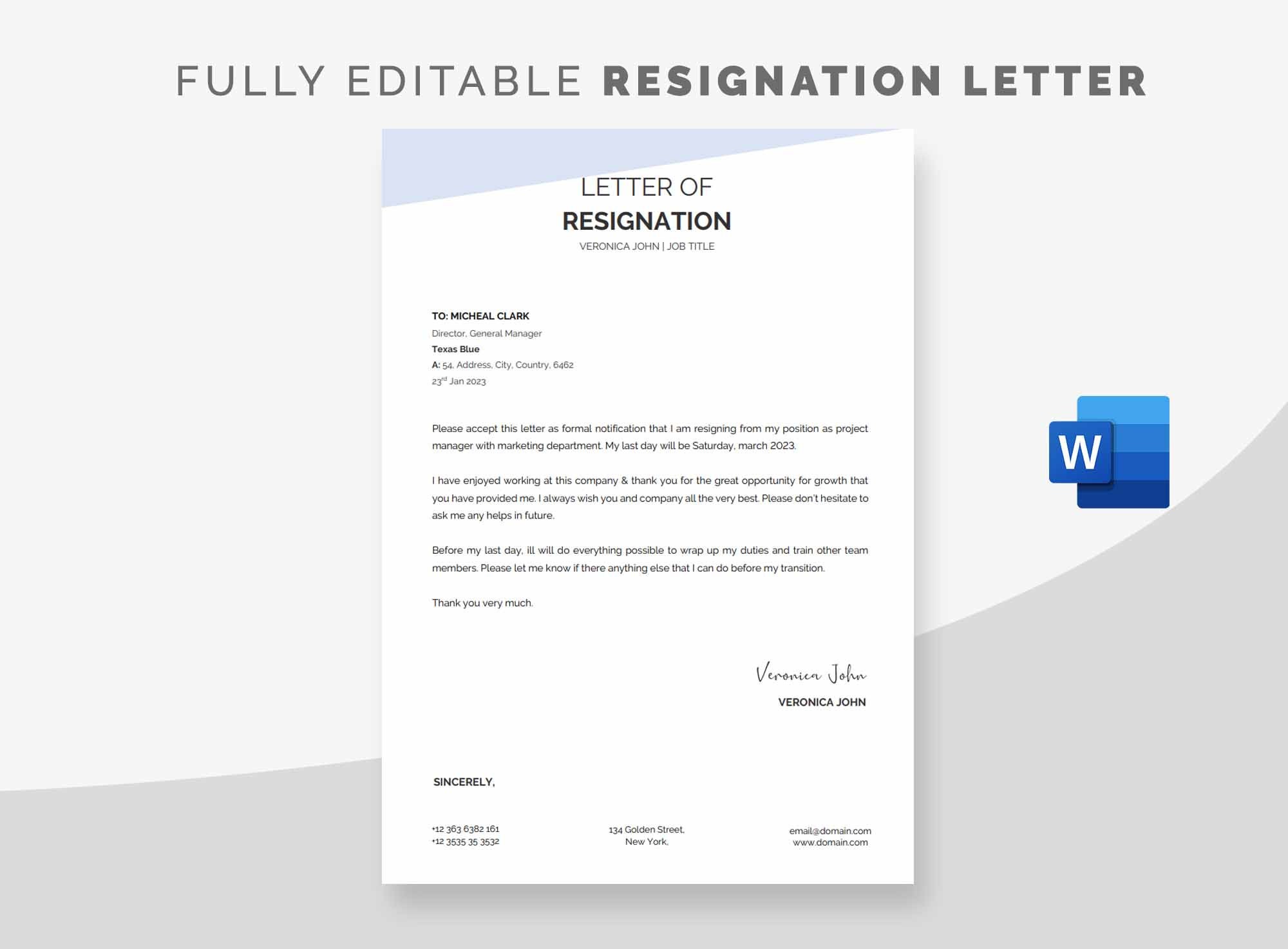 Professional Resignation Letter Resignation Letter Template - Etsy Ireland