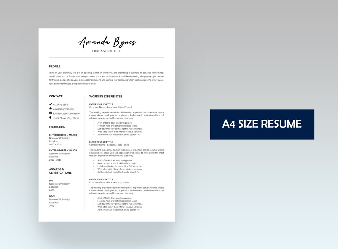 CV Template Resume Template Word, Executive Resume Template, New 1 & 2 ...