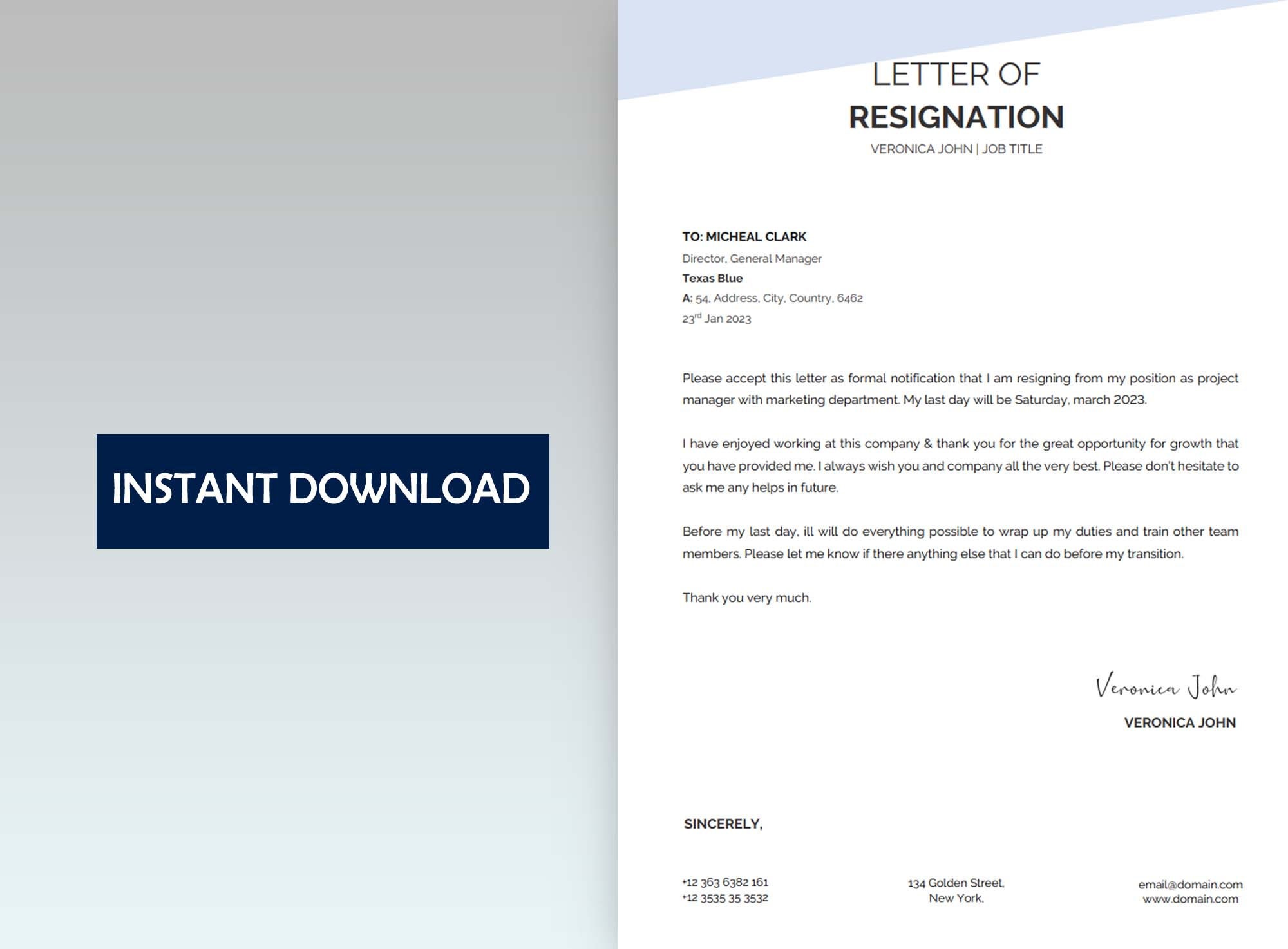 Professional Resignation Letter Resignation Letter Template - Etsy Ireland