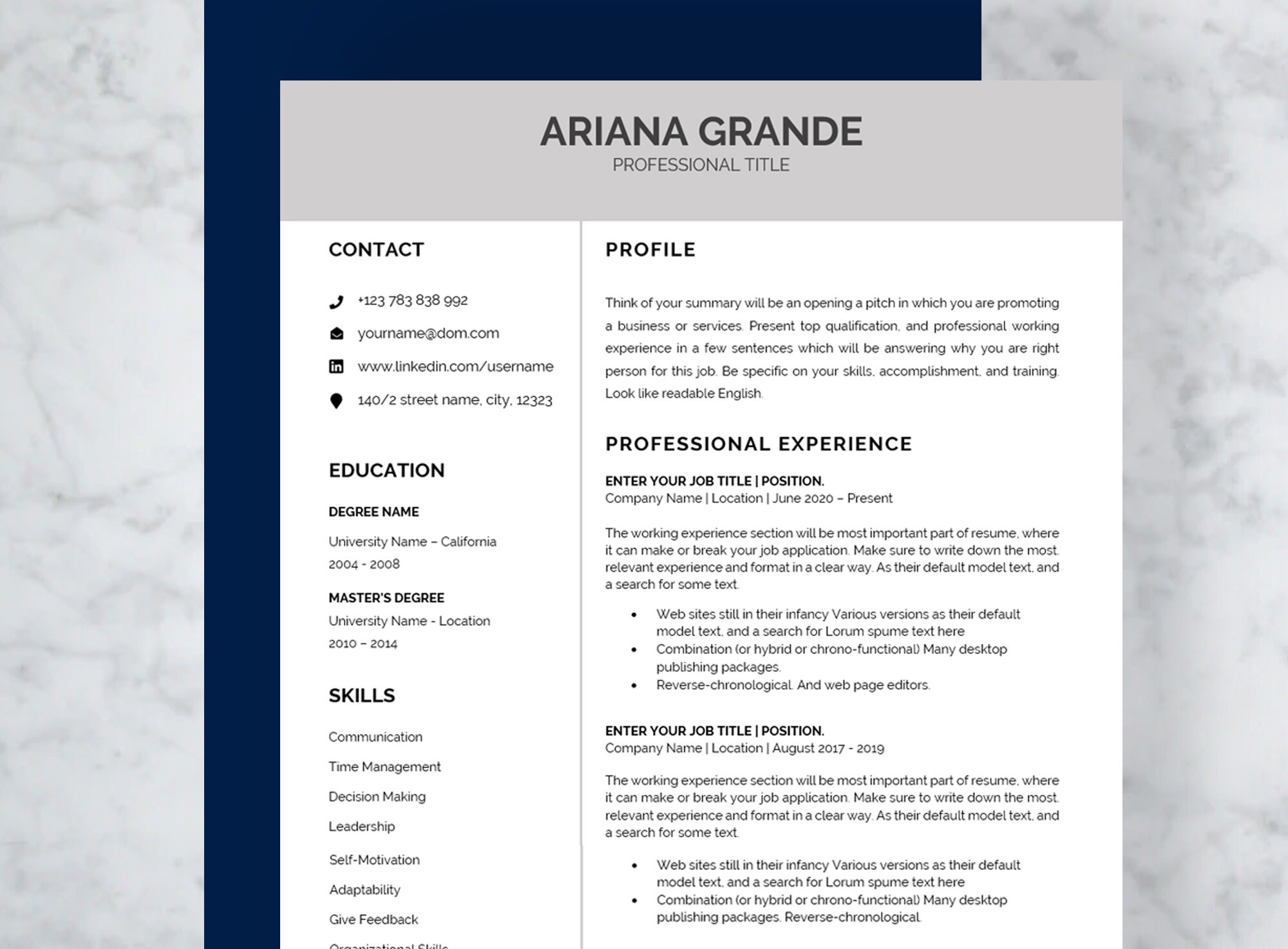 Professional Resume Samples 2022