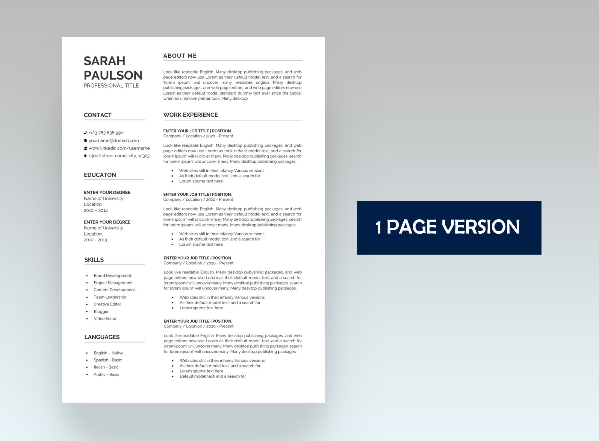 Sales Manager Resume, Professional Resume Template, Resume Template ...