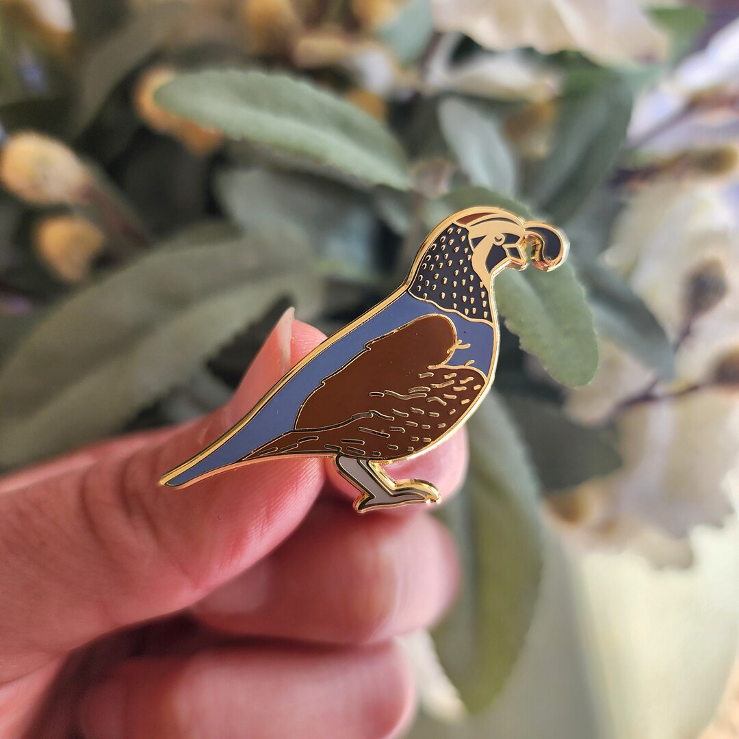 Quail Pin - Etsy