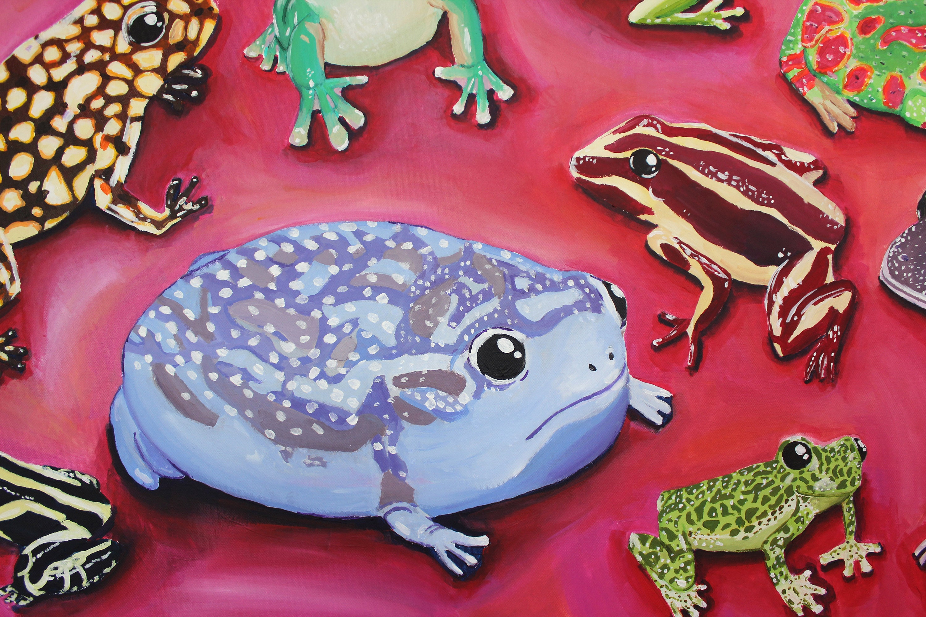 Frog Collage Canvas Posters - Etsy