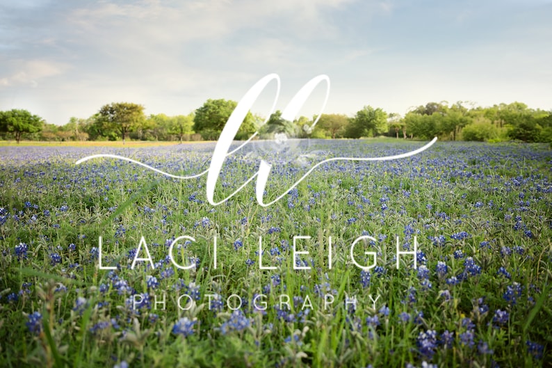 Wildflower, Bluebonnet, Spring Backdrop, Summer Digital Backdrop ...