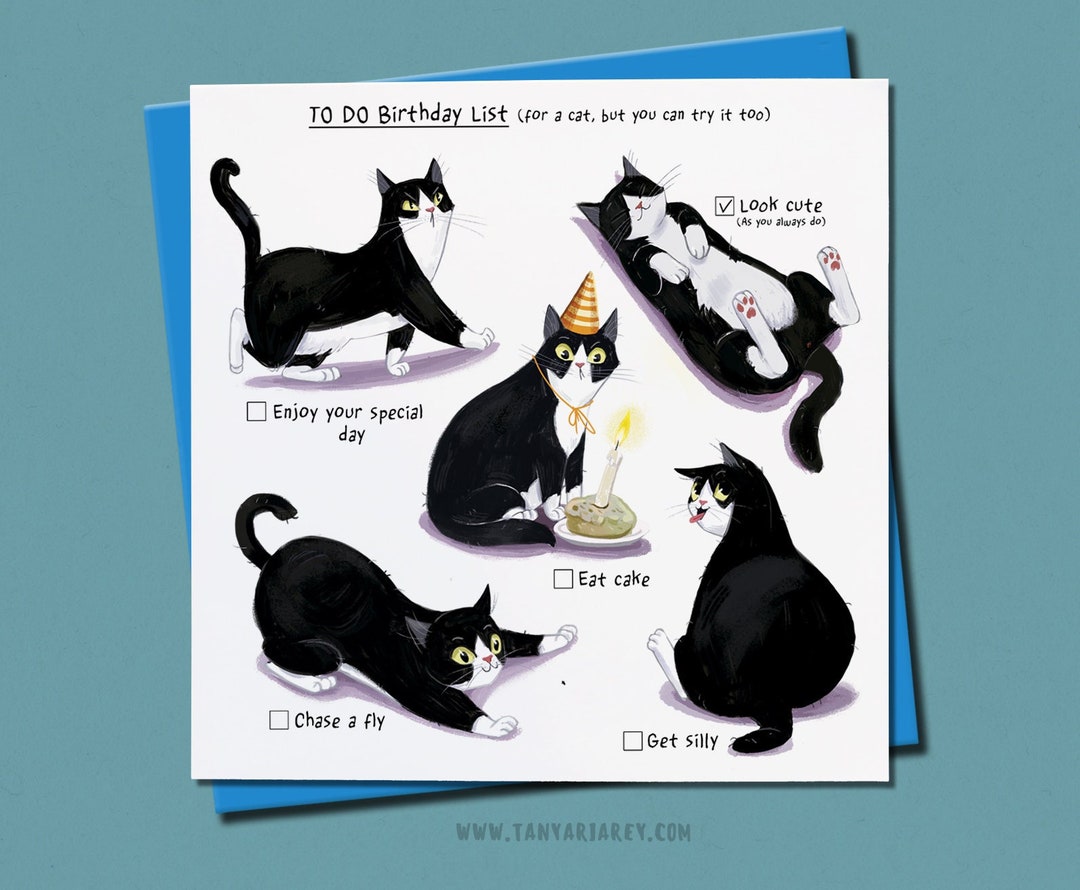 Quirky & Funny Birthday Card, Cat Lover Gift, Humorous Greeting Card ...